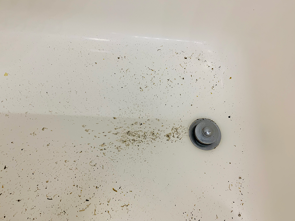 Serious Sewer Problems And When Do You Need To Call For A Sewer Repair ...